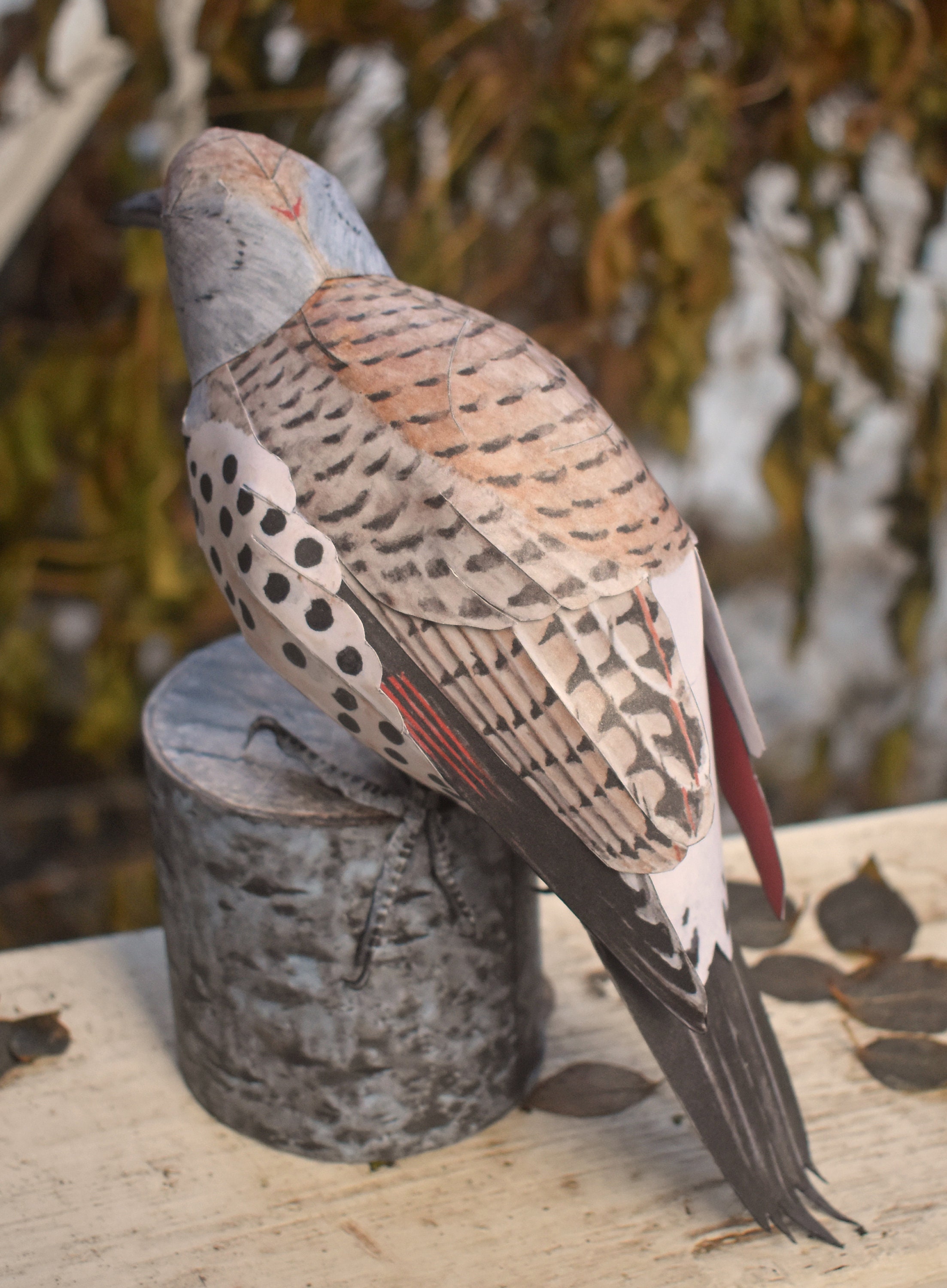 Papercraft 3D Northern Flicker Bird Paper Model - Etsy