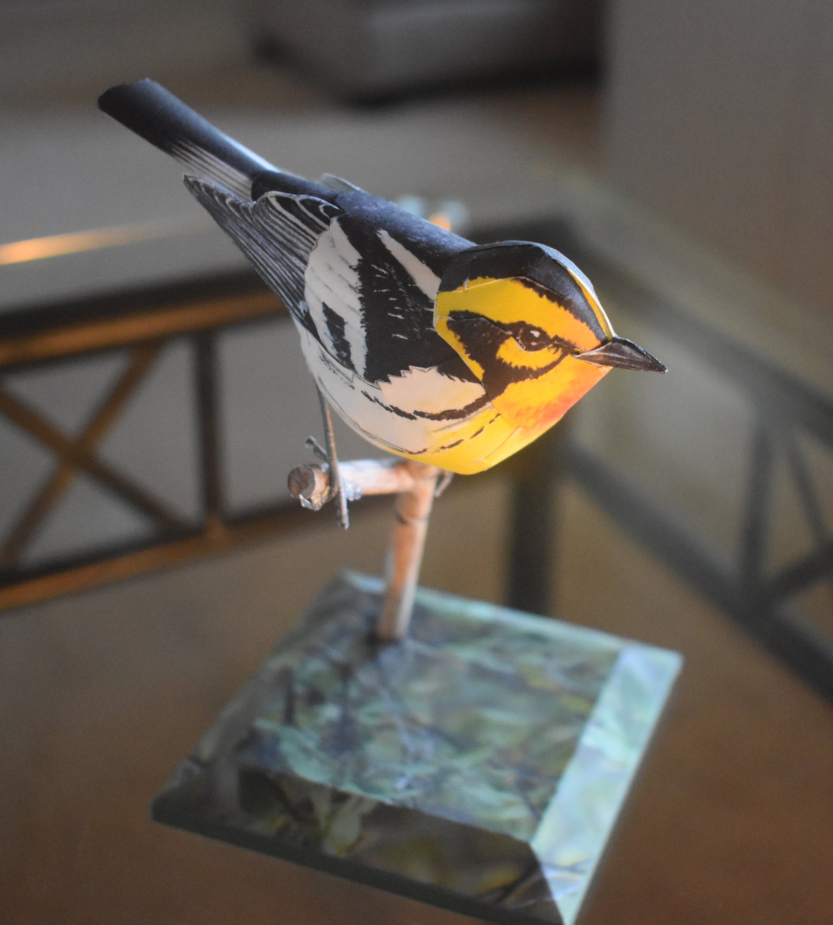 Papercraft Blackburnian Warbler 3D a Realistic Paper Model - Etsy