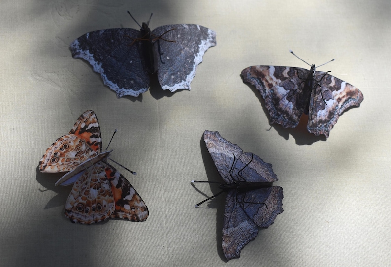 Realistic Paper Butterflies, Papercraft Standing Butterflies, Card ...