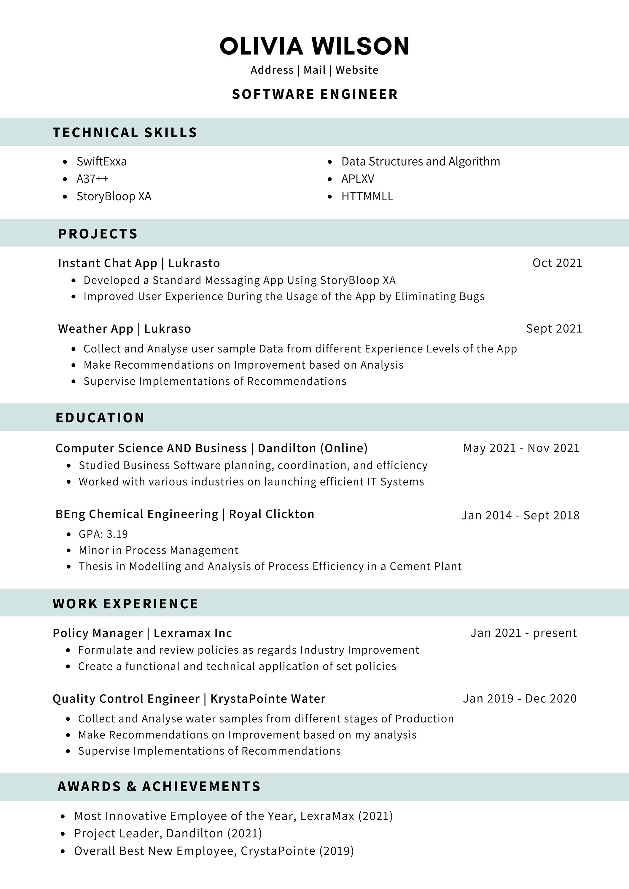 Detailed 3 Resume Template for Google Docs & Word, ATS Compatible ...