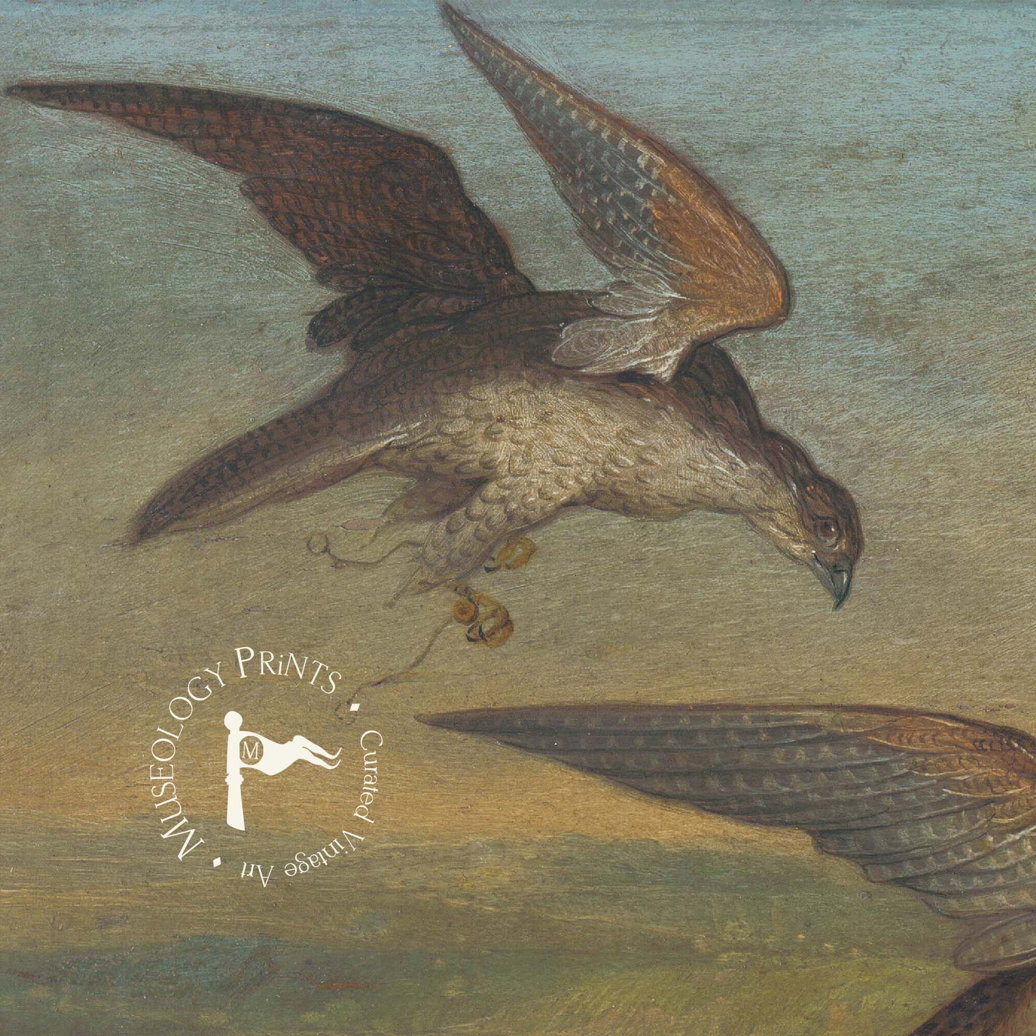 Birds of Pray Vintage Raptor Painting Printable Instant Download Wall ...
