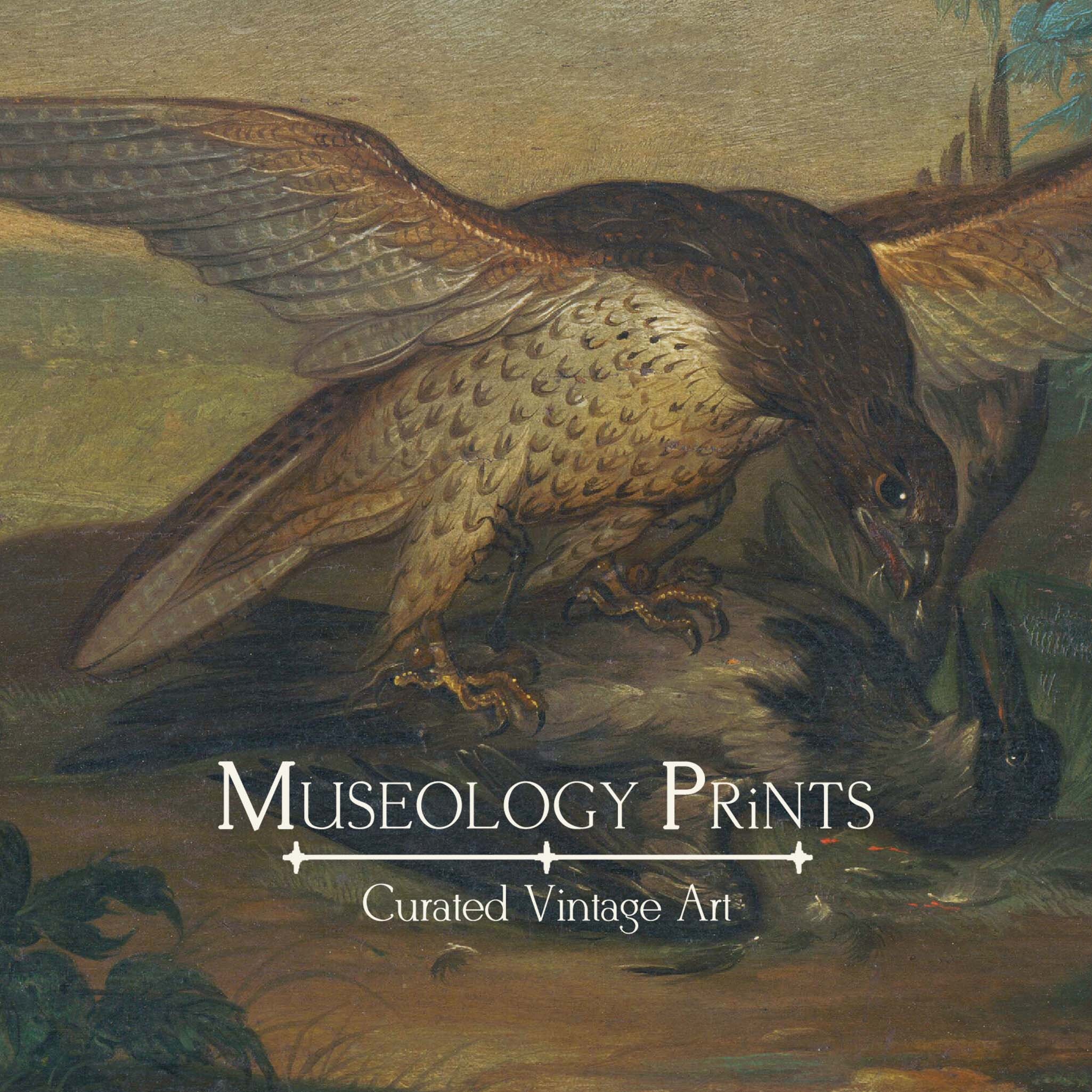 Birds of Pray Vintage Raptor Painting Printable Instant Download Wall ...