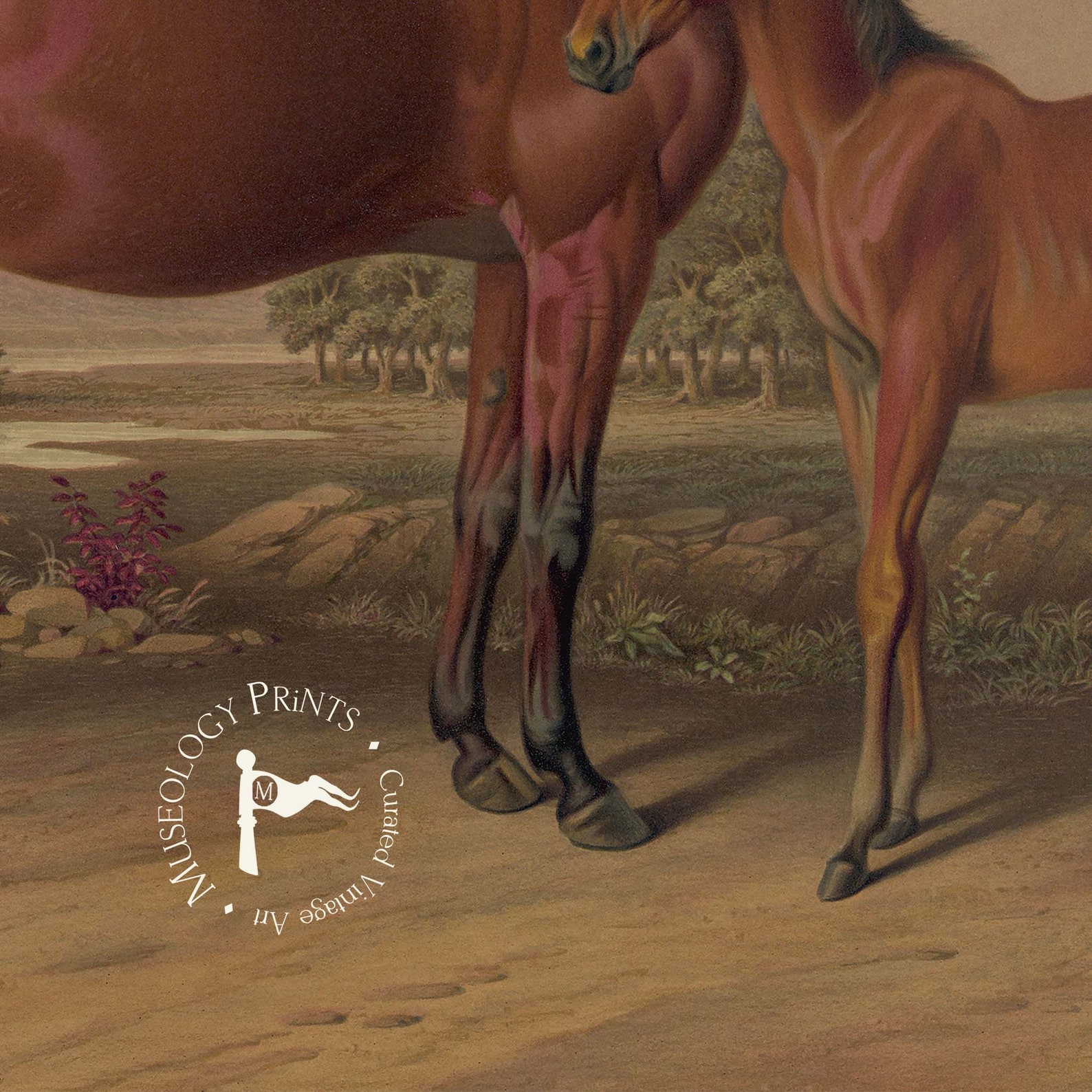 Brown Horse & Colt Painting | Antique Equestrian Decor | Landscape ...