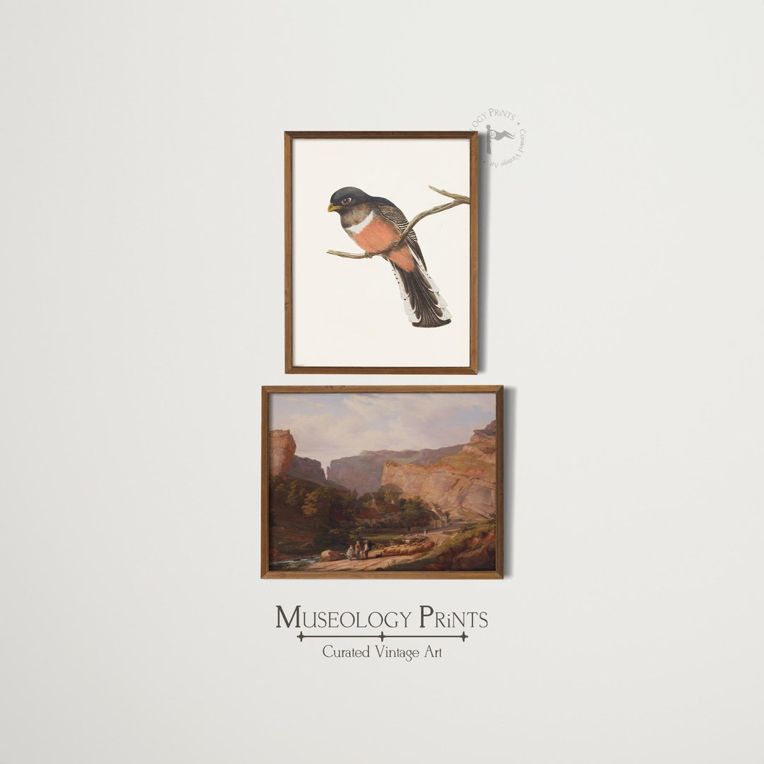 Bird and Sheep Decor | Wall Art SET of 2 Vintage Country Farmhouse ...