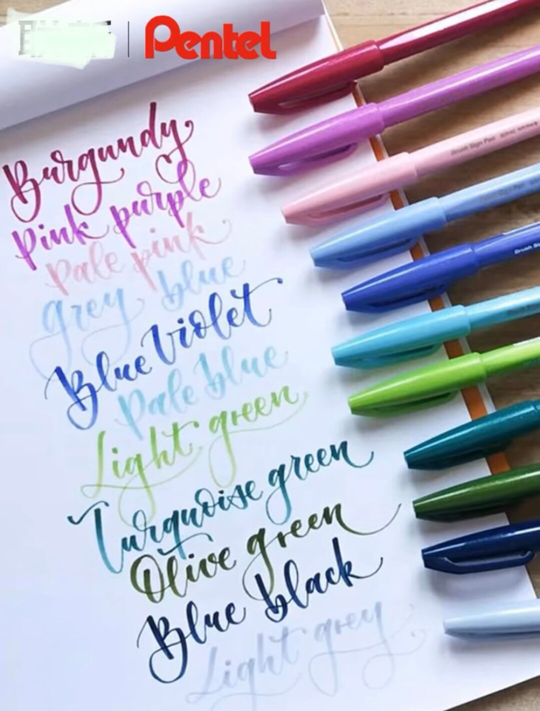 Pentel Calligraphy and Brush Sign Pens,fude Touch, 12 Colors Set - Etsy