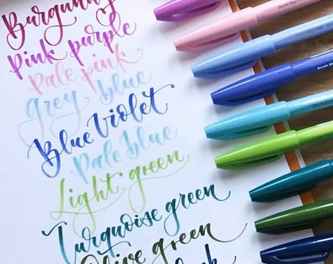 Pentel Calligraphy and Brush Sign Pens,fude Touch, 12 Colors Set - Etsy