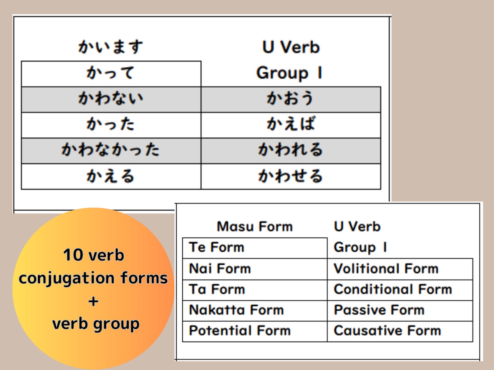 100 Japanese Verb Conjugation Flashcards | Printable Study Aid (digital ...
