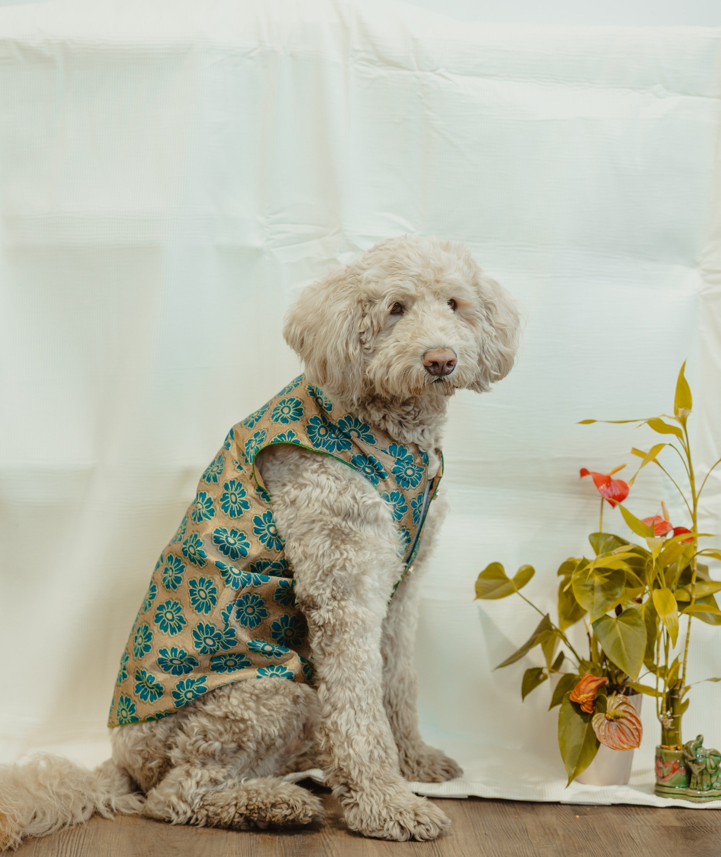 Green Floral Sherwani for Pet, Indian Dog Outfit, Indian Pet Sherwani ...