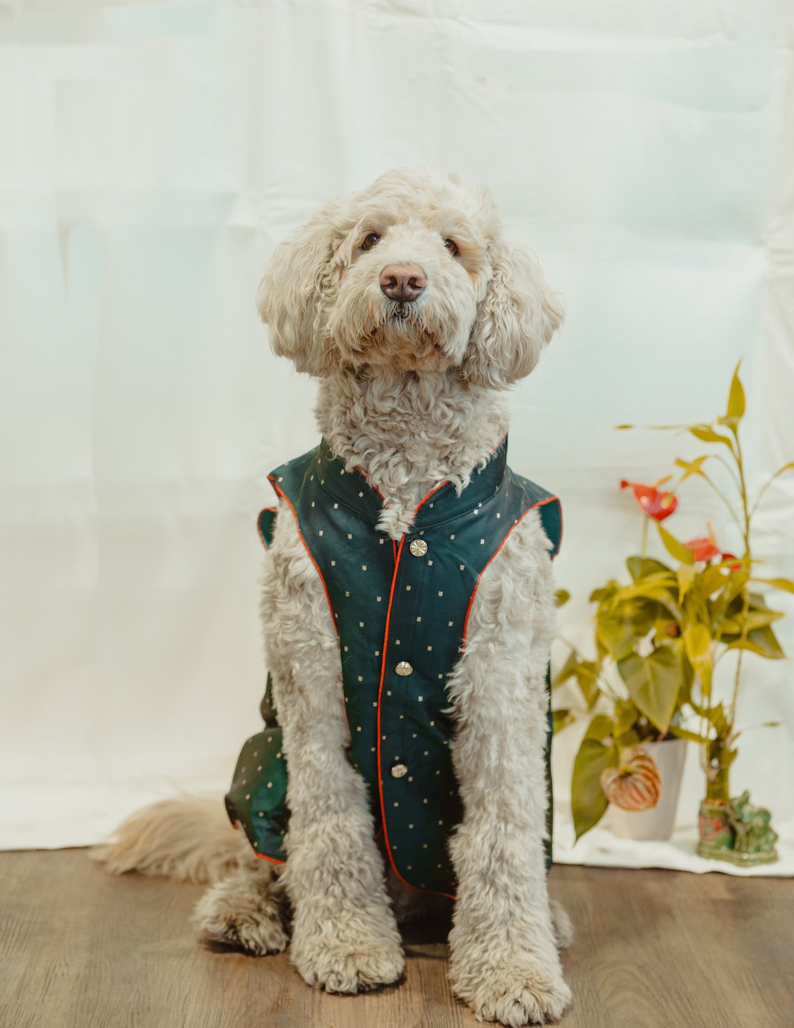 Dark Green Square Sherwani for Pet, Indian Dog Outfit, Indian Pet ...