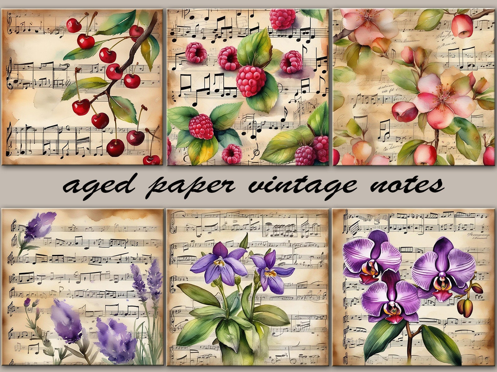 Old Paper, Vintage Notes, Flowers, Butterflies, Digital Paper for ...
