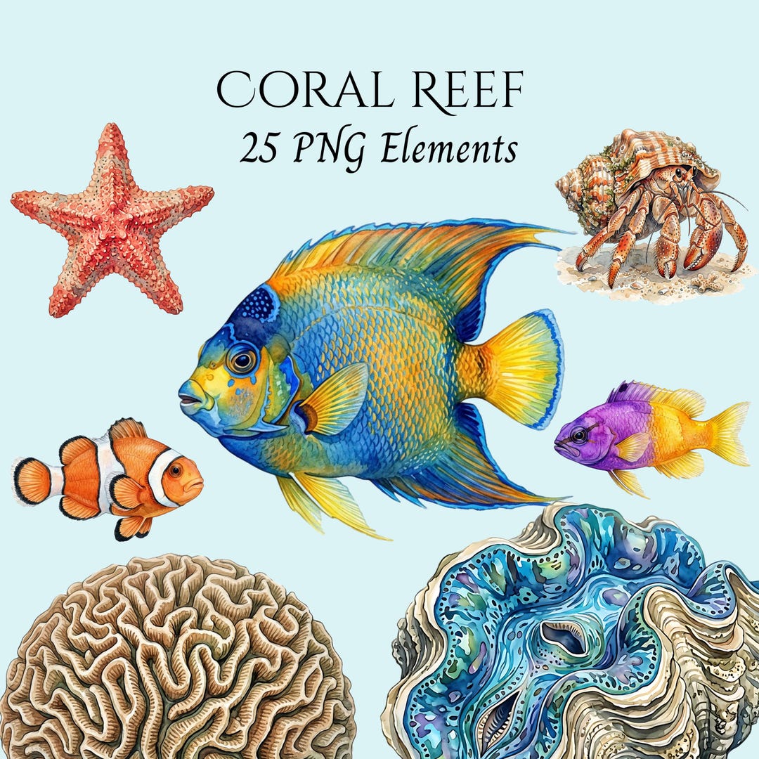 Coral Reef Clipart Bundle, Ocean Animals PNG, Tropical Fish Watercolor ...