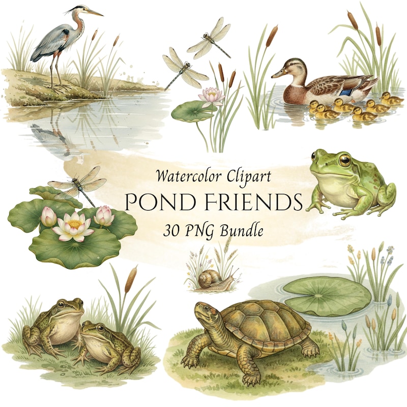 Pond Clipart - Etsy