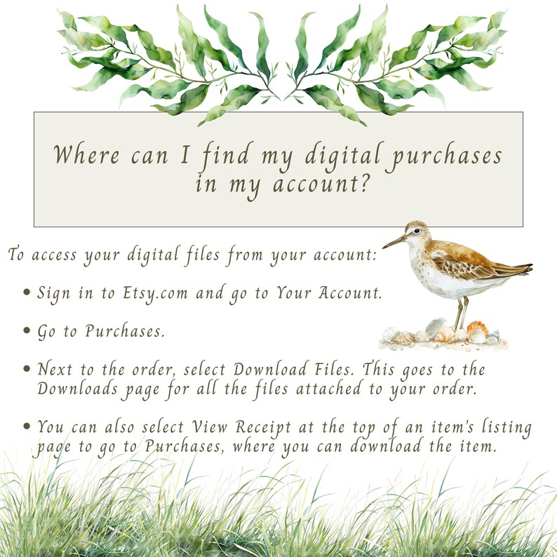 Watercolor Coastal Clipart Bundle, Beach Animals, Birds, Shells ...