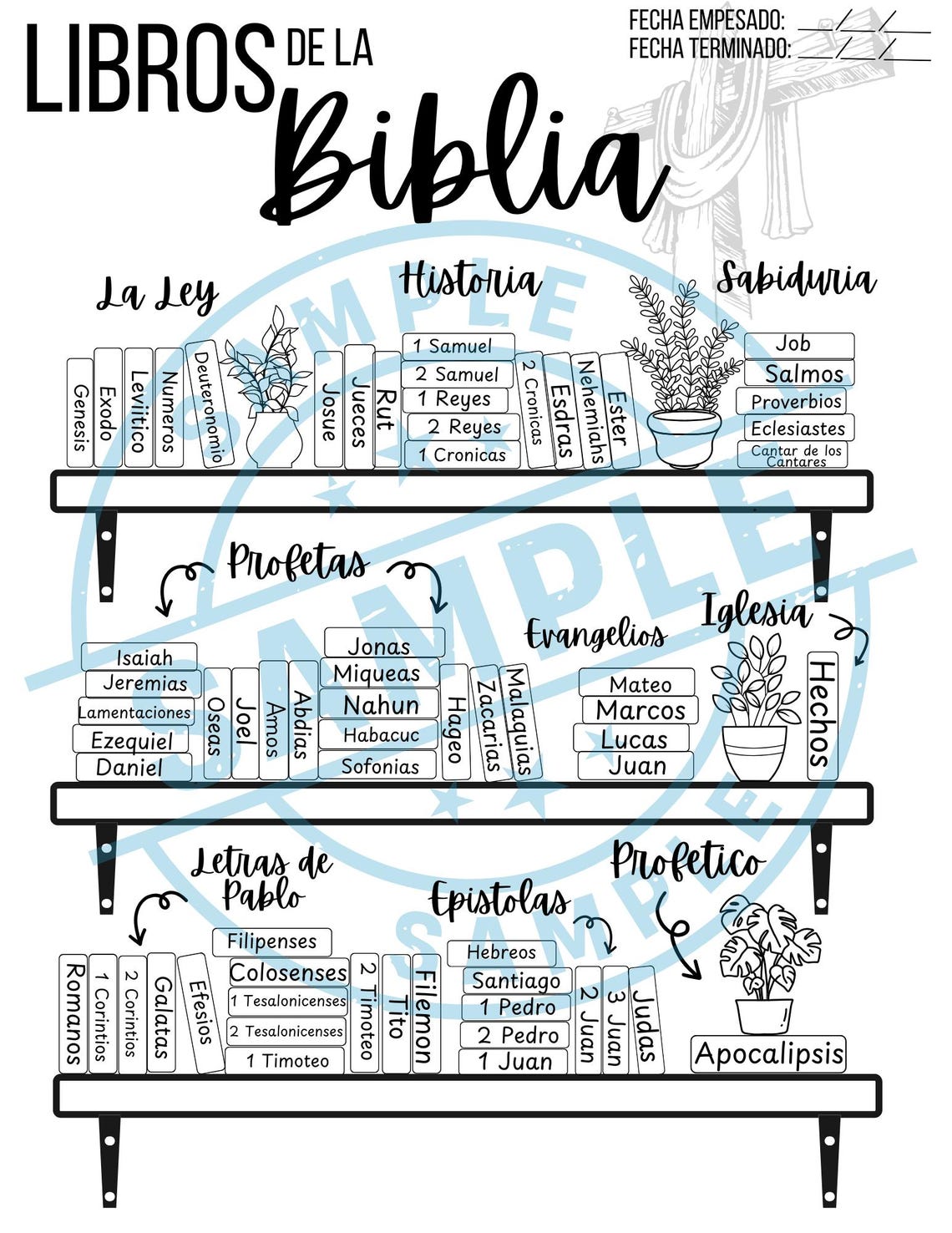 Books of the Bible, Libros De La Biblia (english/spanish) DIGITAL and ...