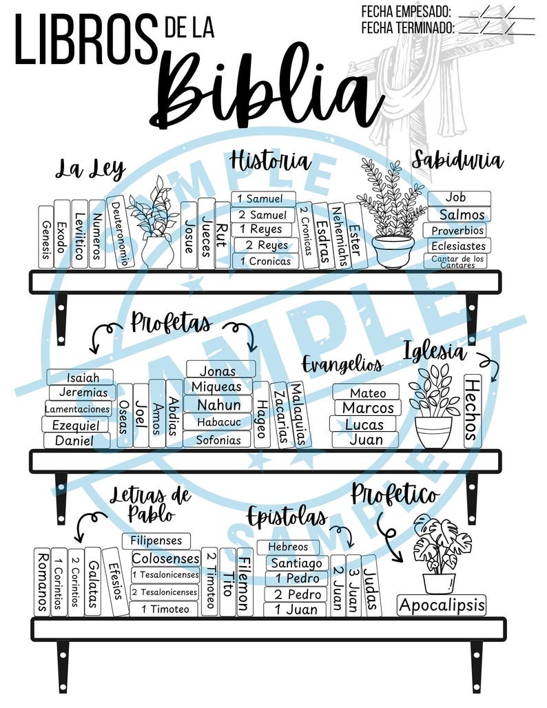 Books of the Bible, Libros De La Biblia (english/spanish) DIGITAL and ...