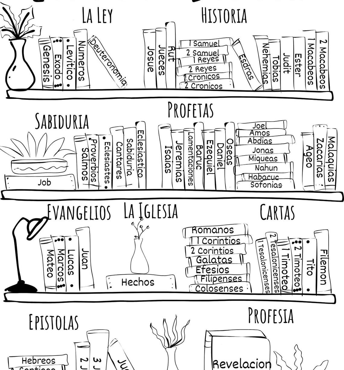 Books of the Bible CATHOLIC (spanish) - Etsy