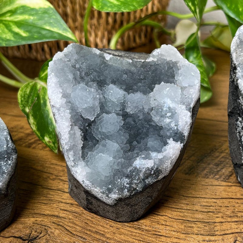 Chalcedony Geode - Etsy