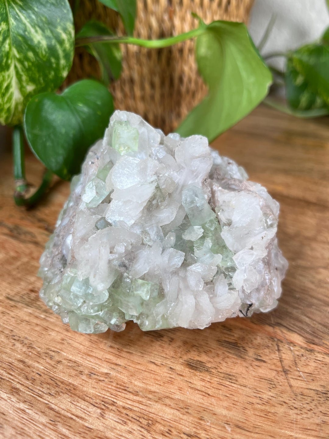 Green Cubic Apophyllite Crystal Cluster W/stilbite, Zeolite Crystal - Etsy