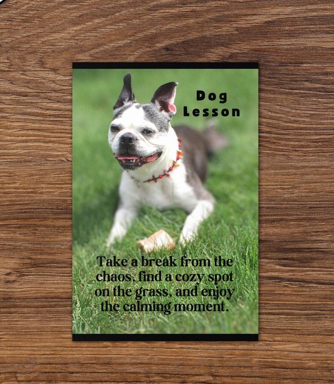 Dog Lesson: Boston Terrier Walk in the Grass Greeting Card - Etsy