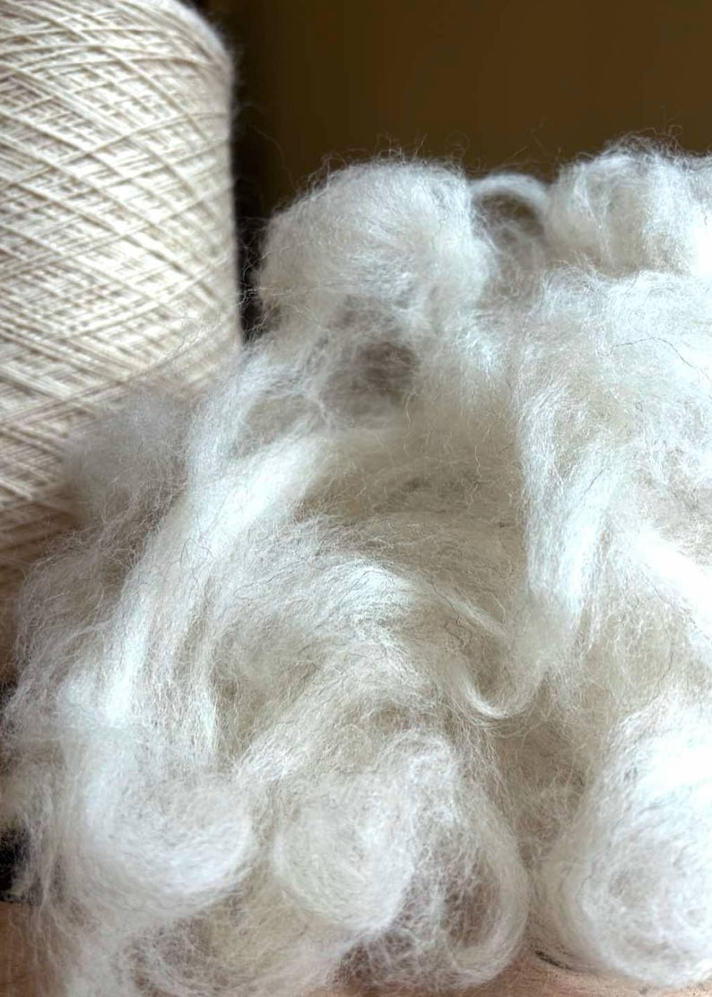 Natural Sheep Wool Balls - Garden Bird Nesting Material - Etsy UK