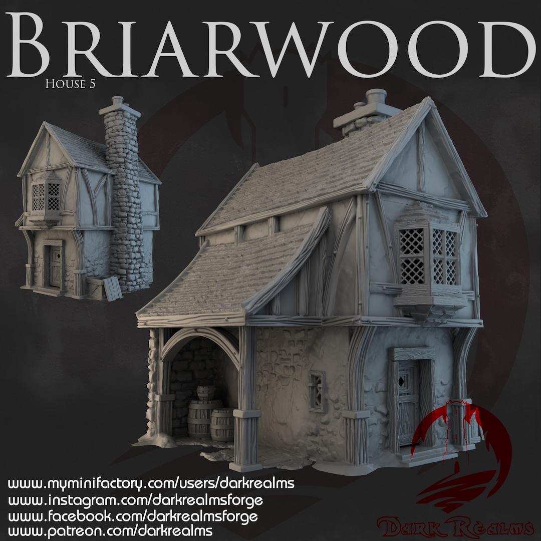 Briarwood House 5 by Dark Realms Dnd Miniature Terrain for Dungeons and ...