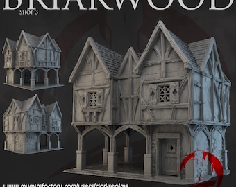 Castle Gate and Walls by Dark Realms Dnd Miniature Terrain for Dungeons ...