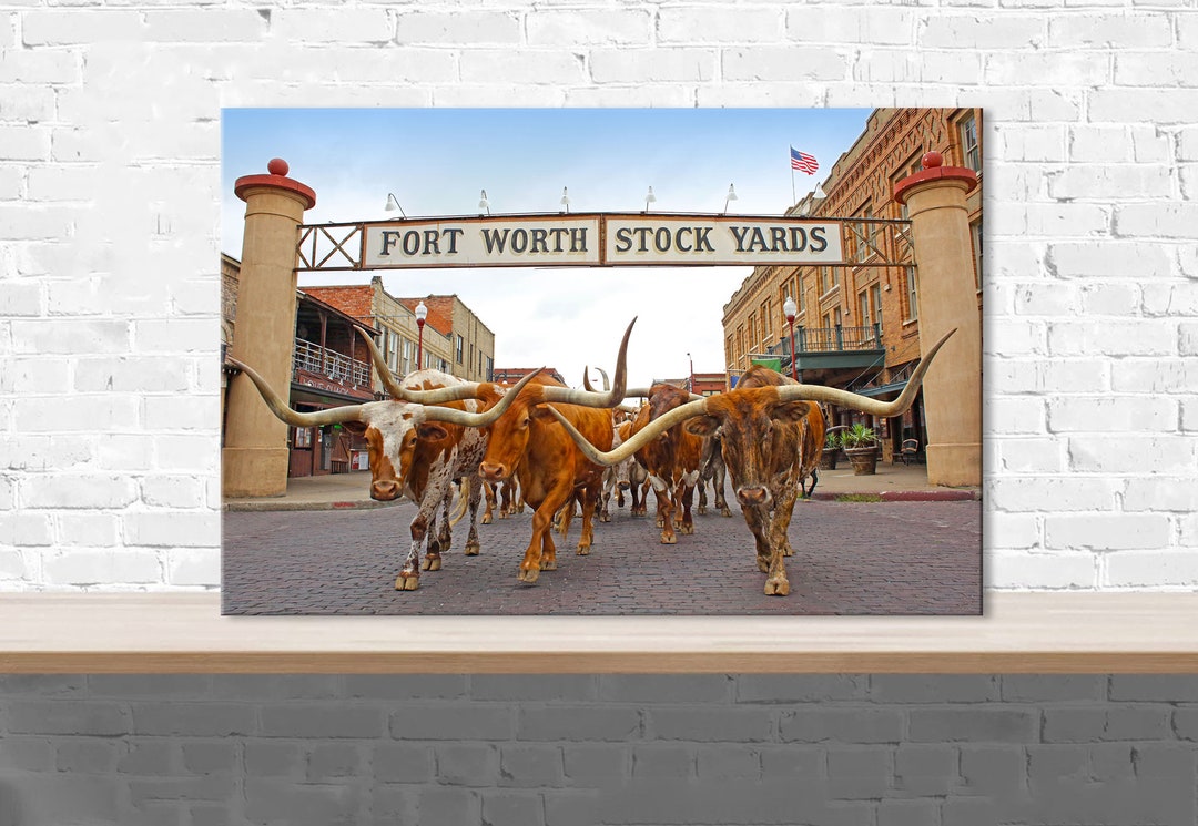 Texas Bulls Longhorn, Fort Worth Stock Yards Art, Fort Worth Bulls ...