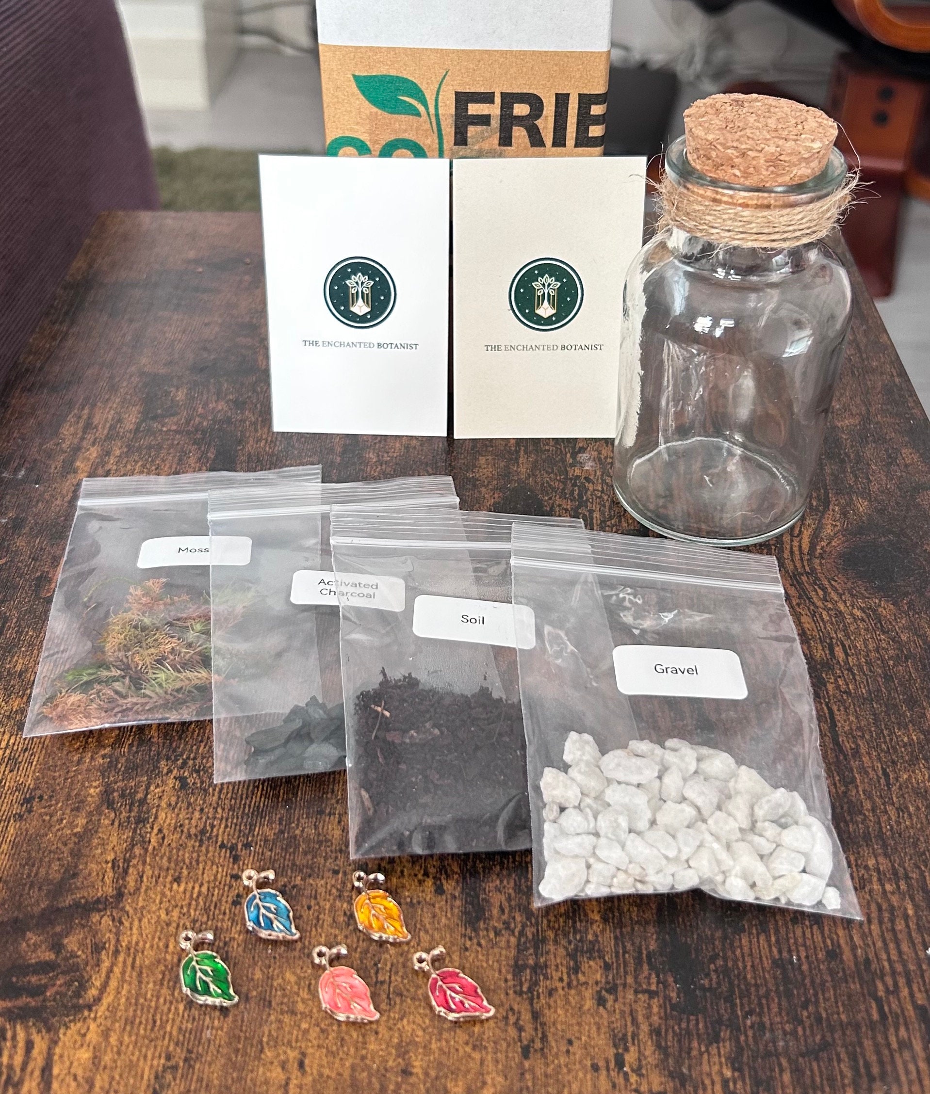 DIY Mini Terrarium Kit - Etsy UK