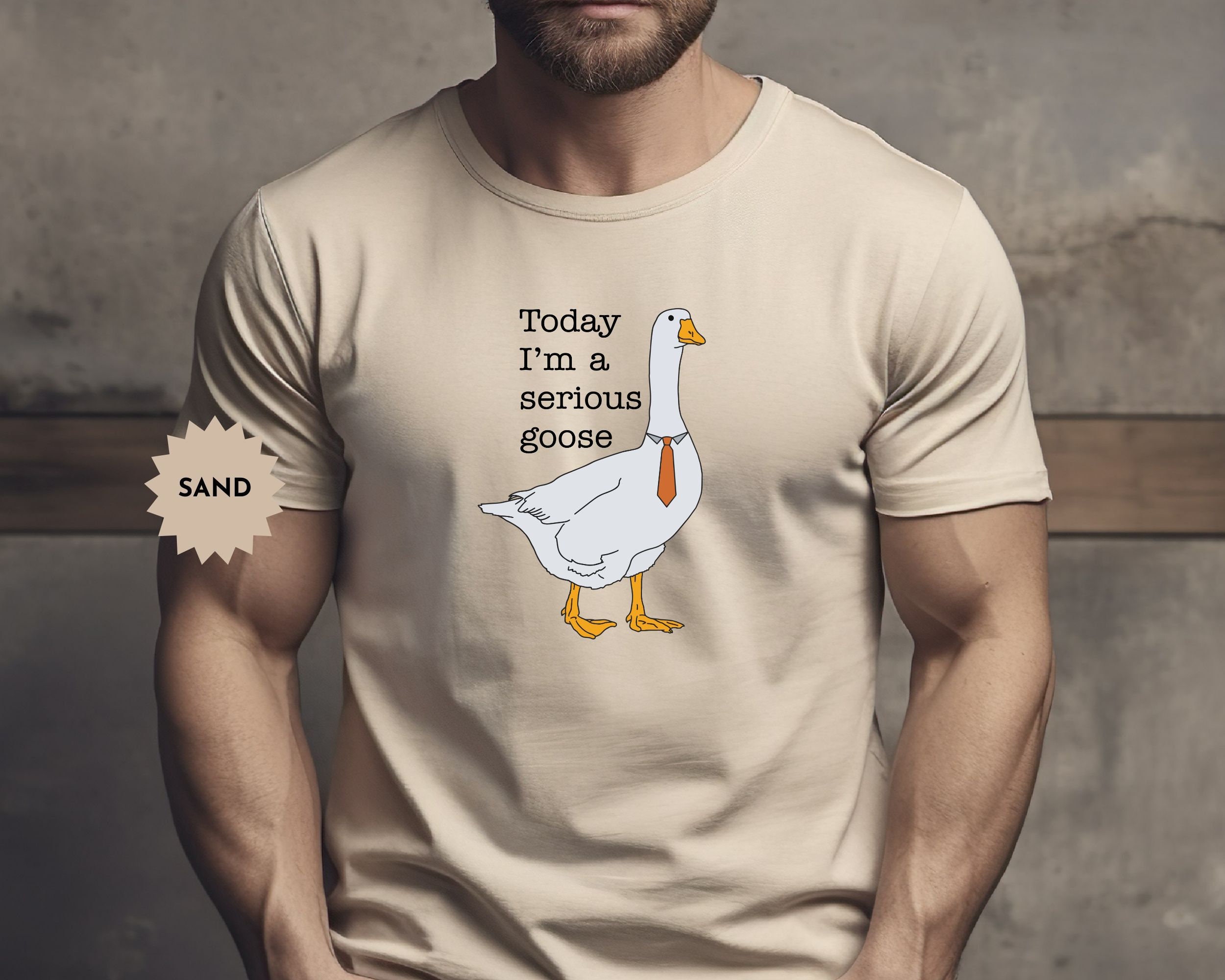 Today I'm A Serious Goose Shirt, Funny Silly Shirt, Funny Goose T-shirt ...