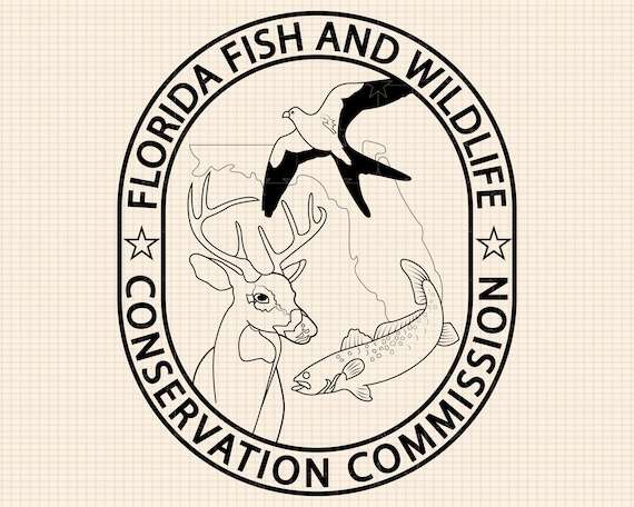 Florida Fish Wildlife