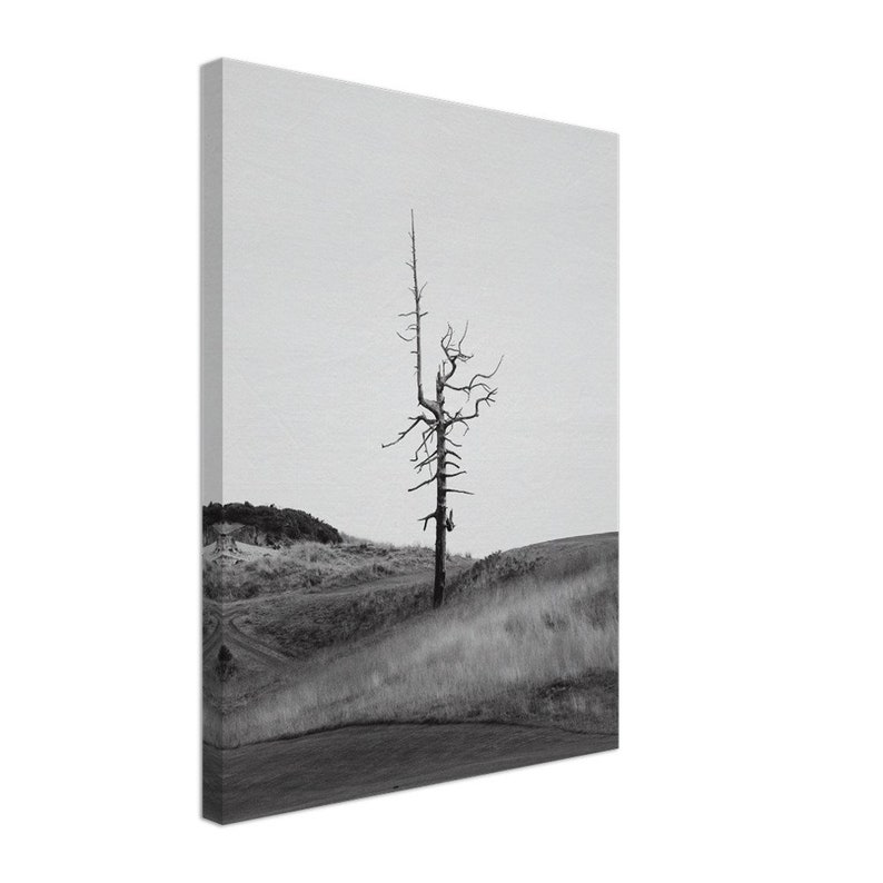 Bandon Dunes Ghost Tree - Etsy