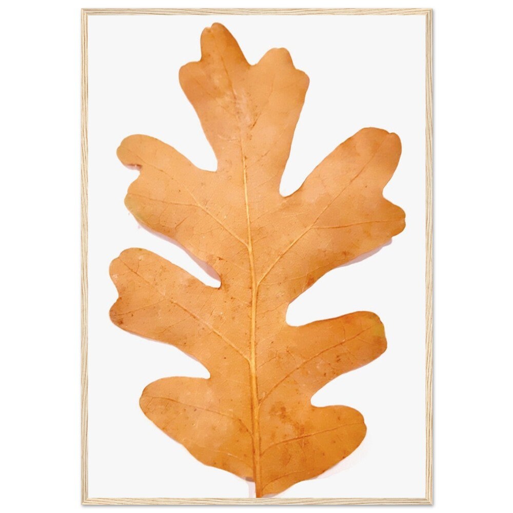 Oak Leaf, Shapely - Premium Semi-glossy Paper Wooden Framed Poster - Etsy