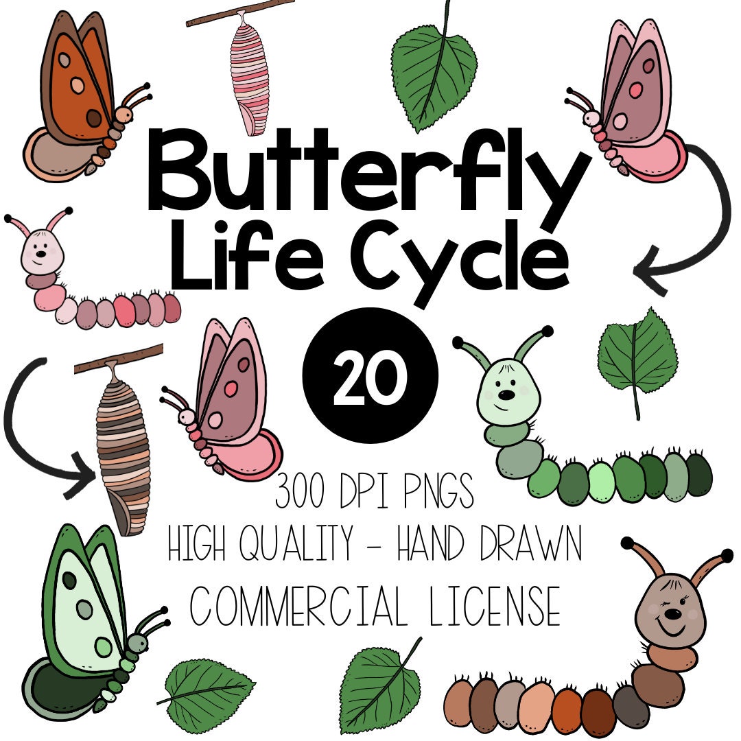 Butterfly Life Cycle Clipart | Original Clip Art, Color and Black ...