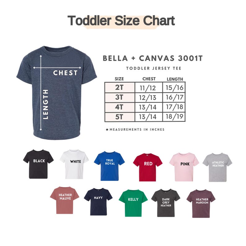 Unhinged and Feral Raccoon Tshirt, Retro Funny Raccoon Shirt, Sarcastic ...