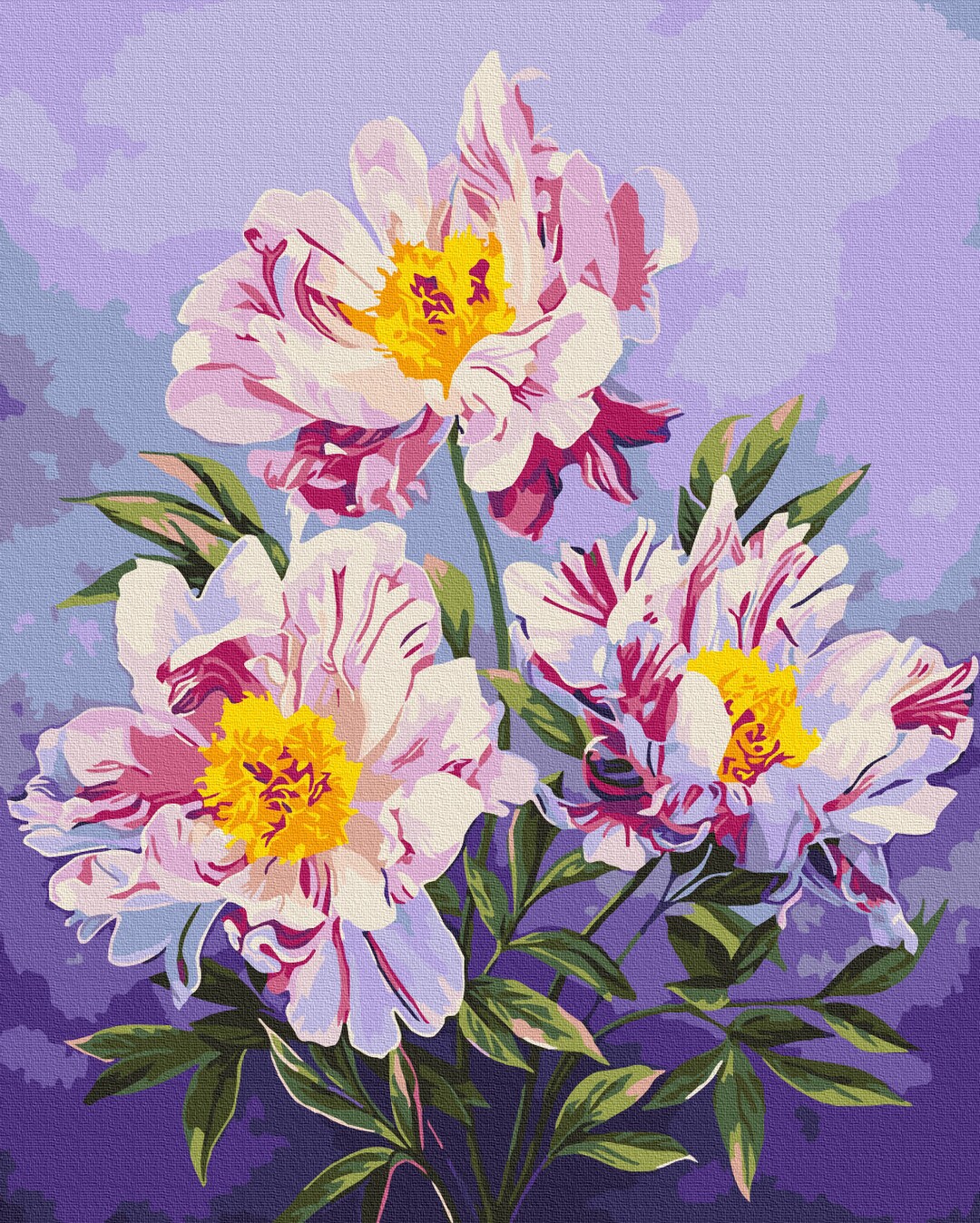 Spring Flower Paint by Numbers Painting Adults on Canvas Flower ...