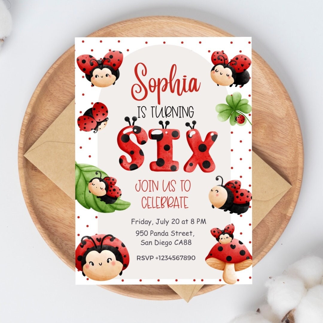 Ladybug Six Birthday Party Invitation, Girls 6th Birthday Party ...