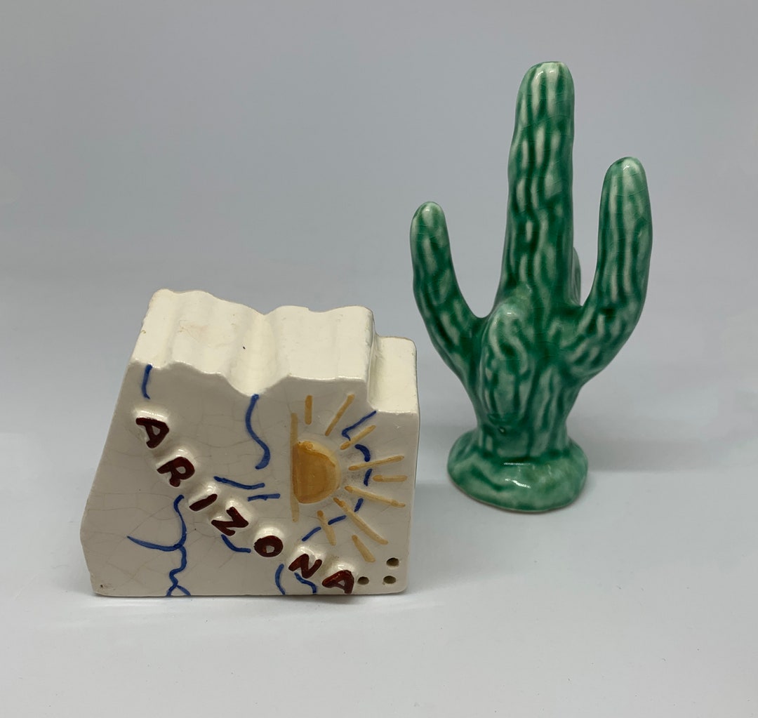 Vintage Parkcraft Arizona and Cactus Salt and Pepper Shaker - Etsy