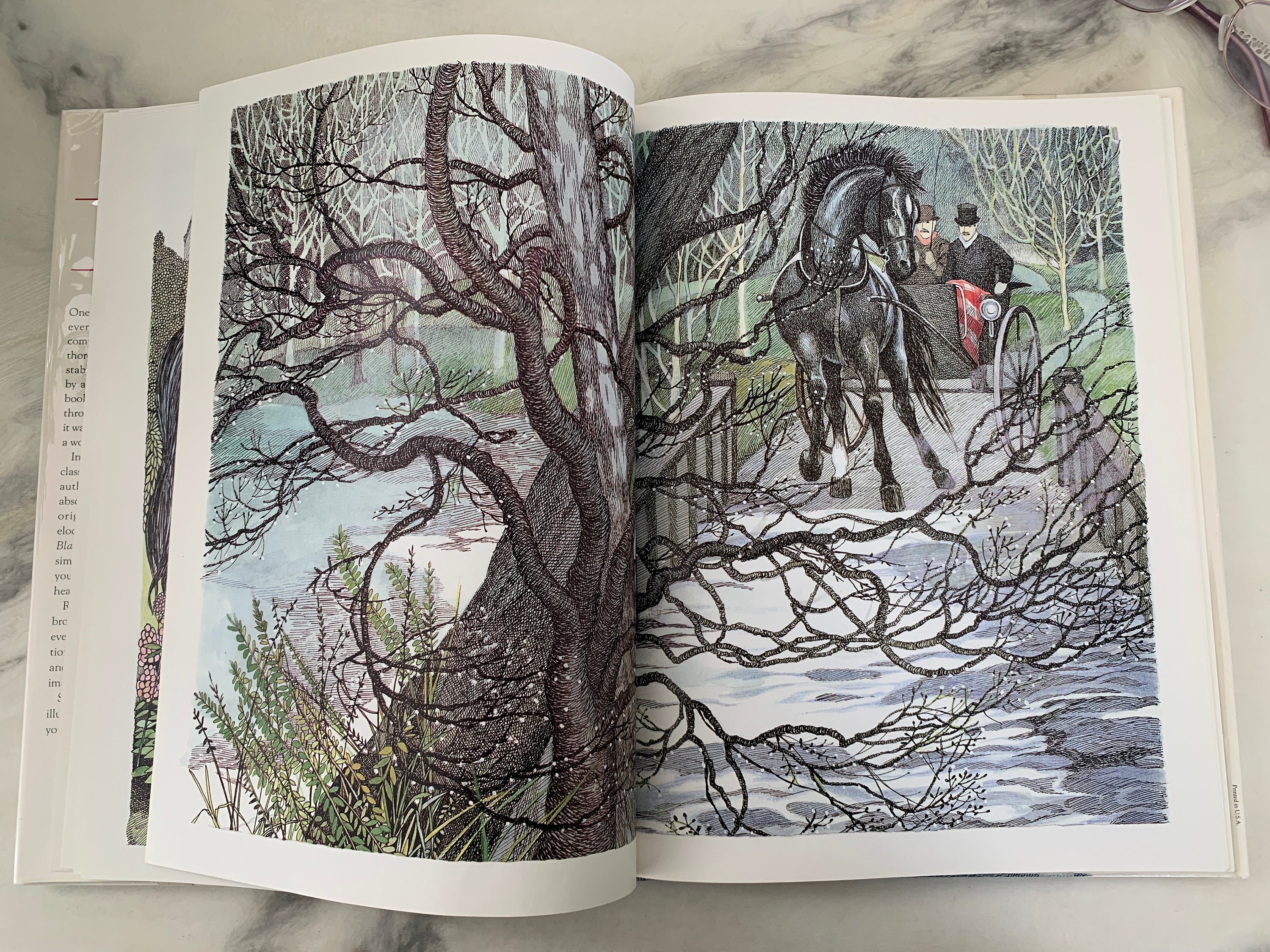 Black Beauty Signed by Illustrator Susan Jeffers, Adapted by Robin ...