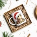 Cute Christmas Turtle PNG , Christmas Turtle PNG, Christmas PNG, Turtle ...