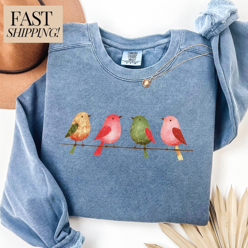 Pastel Birds Sweater - Etsy