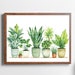 House Plant Art, Bohemian Poster, Wall Decor, Potted Plants, Indoor ...