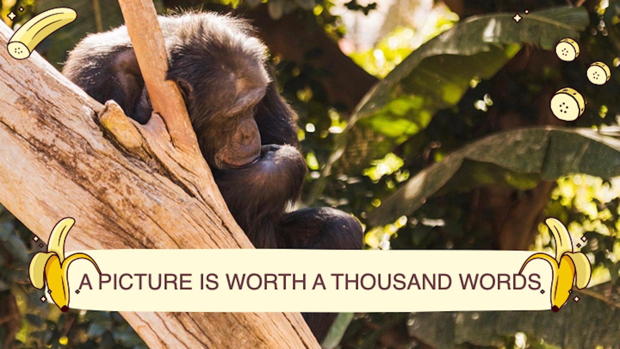 Editable International Monkey Day Powerpoint Presentation Template ...