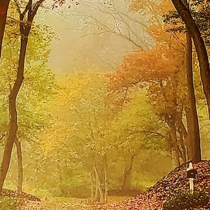 8x10 Photo of Fall Path - Etsy