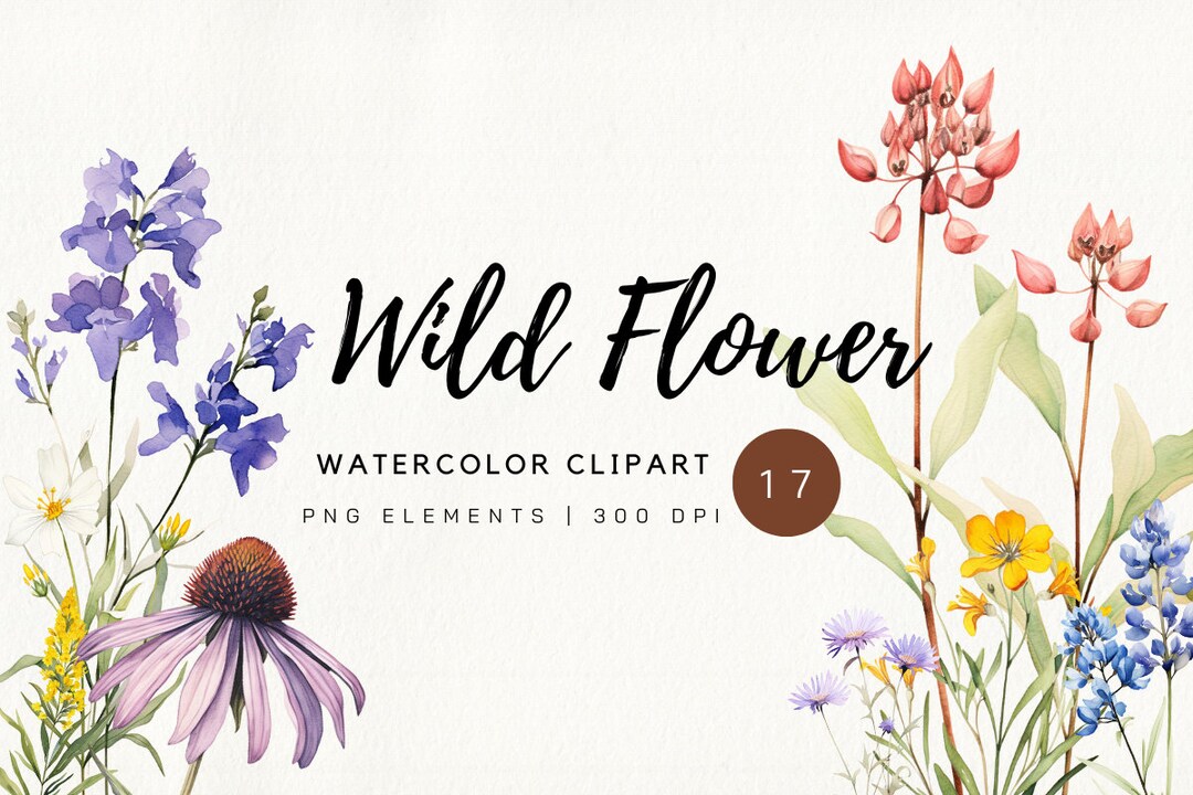 Wild Flowers, Watercolor Wild Flower, Wedding Flower,wild Flower PNG ...