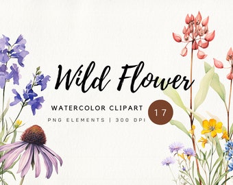 Boho Flowers, Watercolor Wild Flower, Wild Flower PNG, Watercolor ...