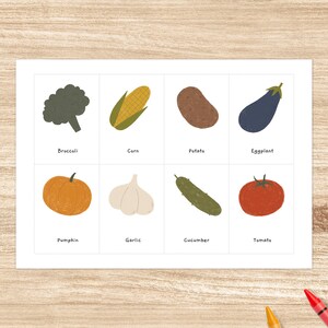 16 Vegetables Flash Cards | Montessori Flashcards | Educational ...