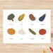16 Vegetables Flash Cards | Montessori Flashcards | Educational ...