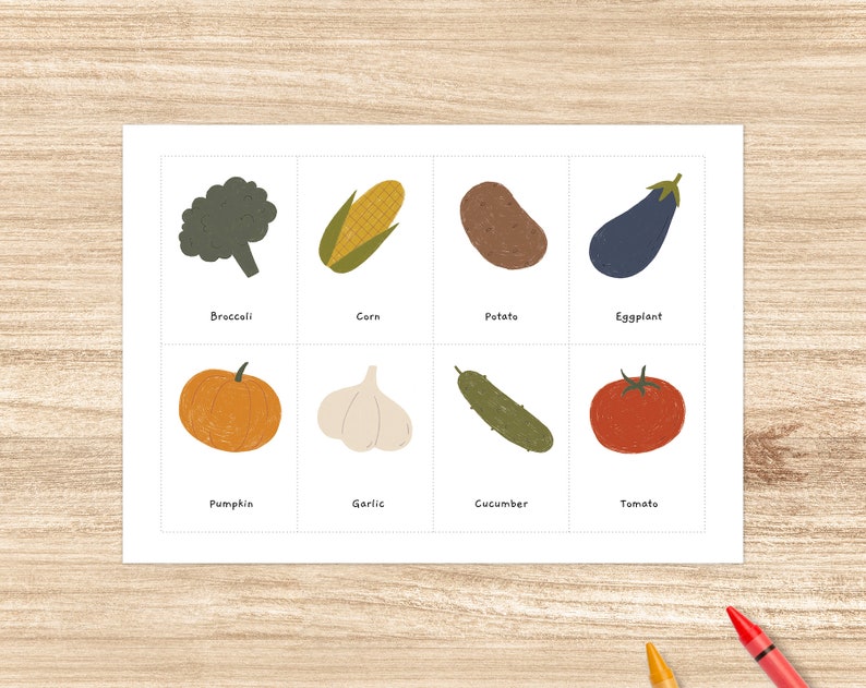 16 Vegetables Flash Cards | Montessori Flashcards | Educational ...