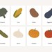 16 Vegetables Flash Cards | Montessori Flashcards | Educational ...