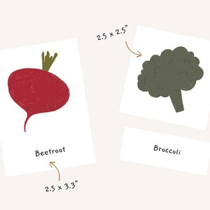 16 Vegetables Flash Cards | Montessori Flashcards | Educational ...